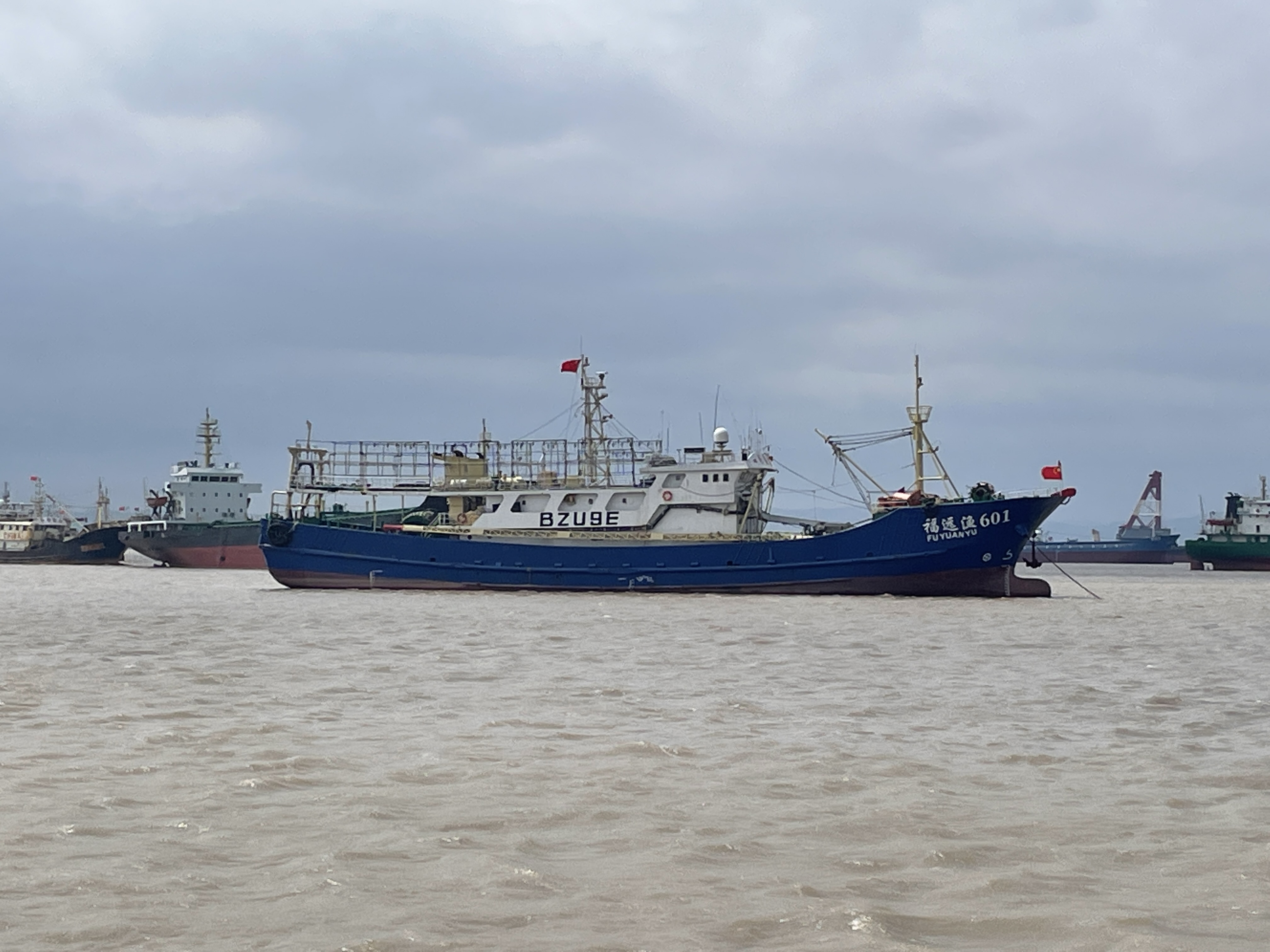 Fu Yuan Yu 601 | NPFC